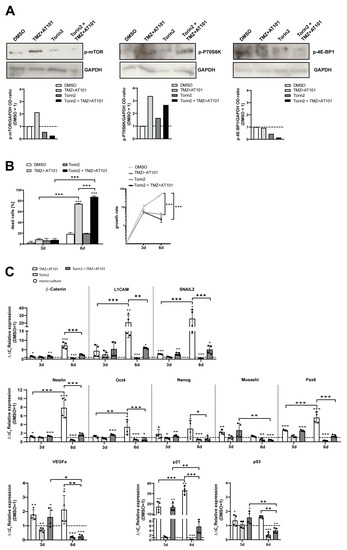 Sequential Treatment with Temozolomide Plus Naturally Derived AT101 as ...