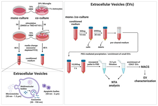 Sequential Treatment with Temozolomide Plus Naturally Derived AT101 as ...