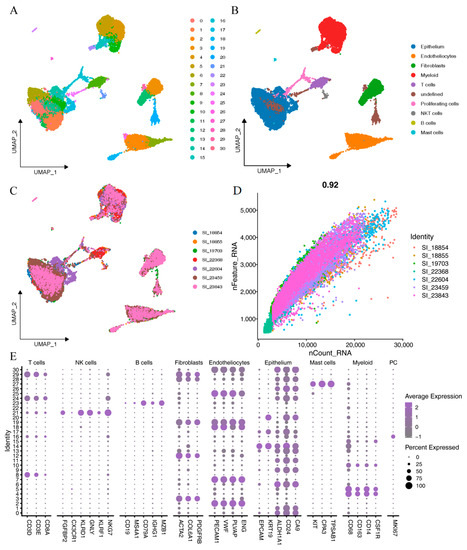 Single-Cell RNA-Seq Analysis Reveals Ferroptosis in the Tumor ...