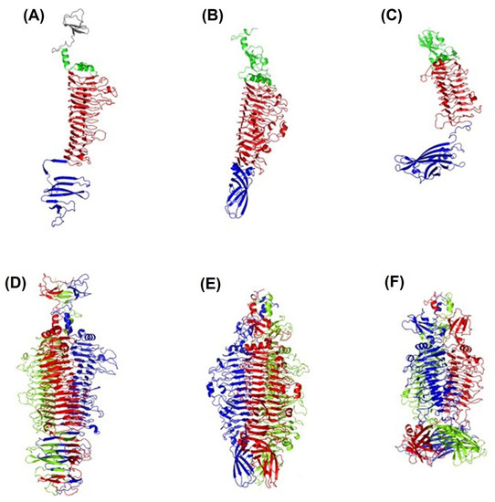 Friunavirus Phage-Encoded Depolymerases Specific to Different Capsular Types of Acinetobacter ...