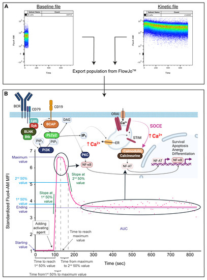 An Optimized Flow Cytometric Method to Demonstrate the Differentiation ...