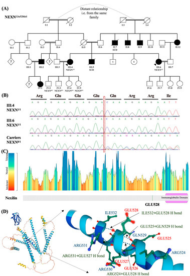 Introducing and Implementing Genetic Assessment in Cardio-Obstetrics ...