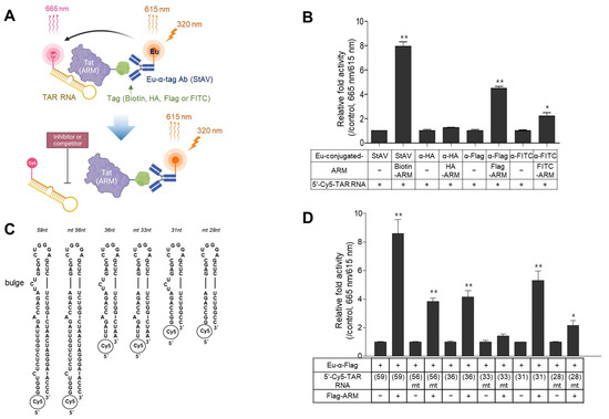 A Novel Time-Resolved Fluorescence Resonance Energy Transfer Assay for ...