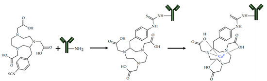 Recent Advances in 64Cu/67Cu-Based Radiopharmaceuticals