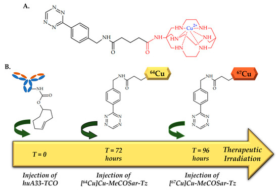 Recent Advances in 64Cu/67Cu-Based Radiopharmaceuticals
