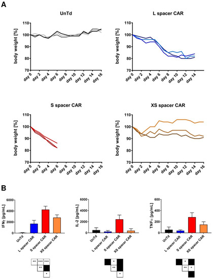 Targeting Stage-Specific Embryonic Antigen 4 (SSEA-4) in Triple ...
