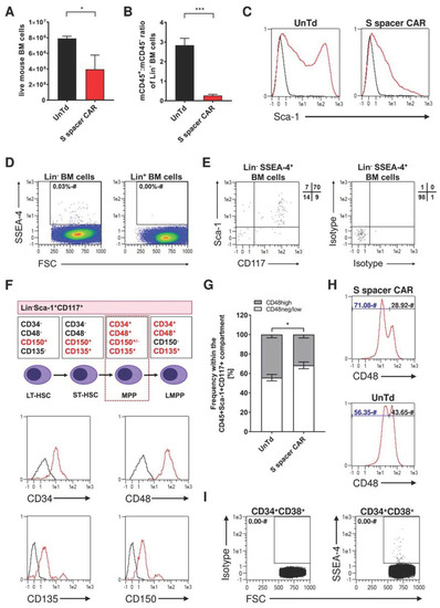 Targeting Stage-Specific Embryonic Antigen 4 (SSEA-4) in Triple ...
