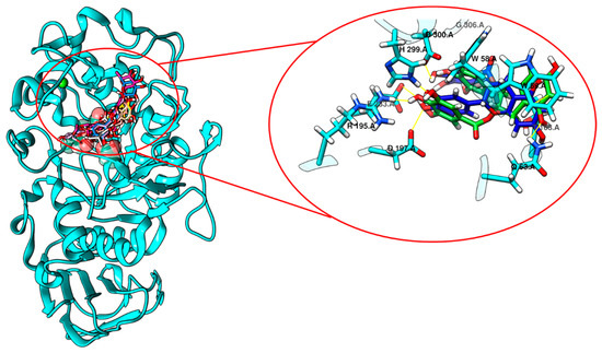 Insights on the Hypoglycemic Potential of Crocus sativus Tepal ...