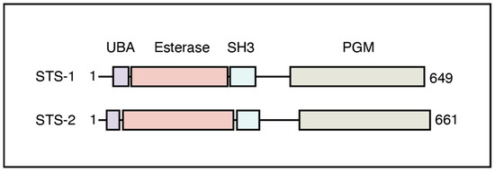 STS-1 and STS-2, Multi-Enzyme Proteins Equipped to Mediate Protein ...