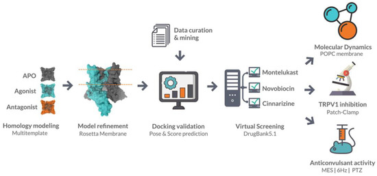 Recent Advances in Computer-Aided Structure-Based Drug Design on Ion ...