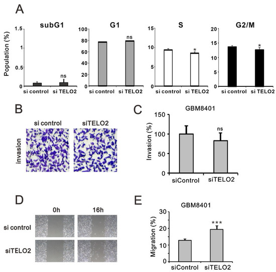 Exploring the Functional Roles of Telomere Maintenance 2 in the ...