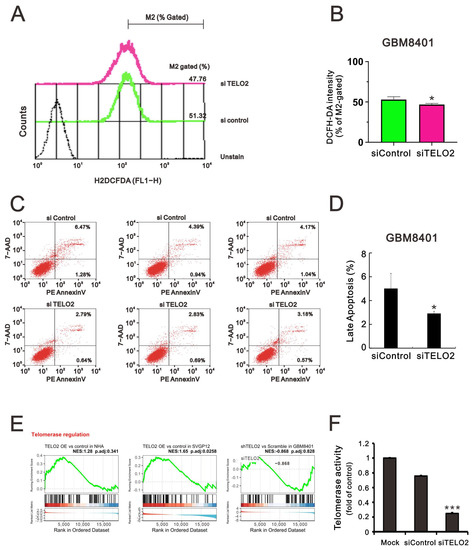Exploring the Functional Roles of Telomere Maintenance 2 in the ...
