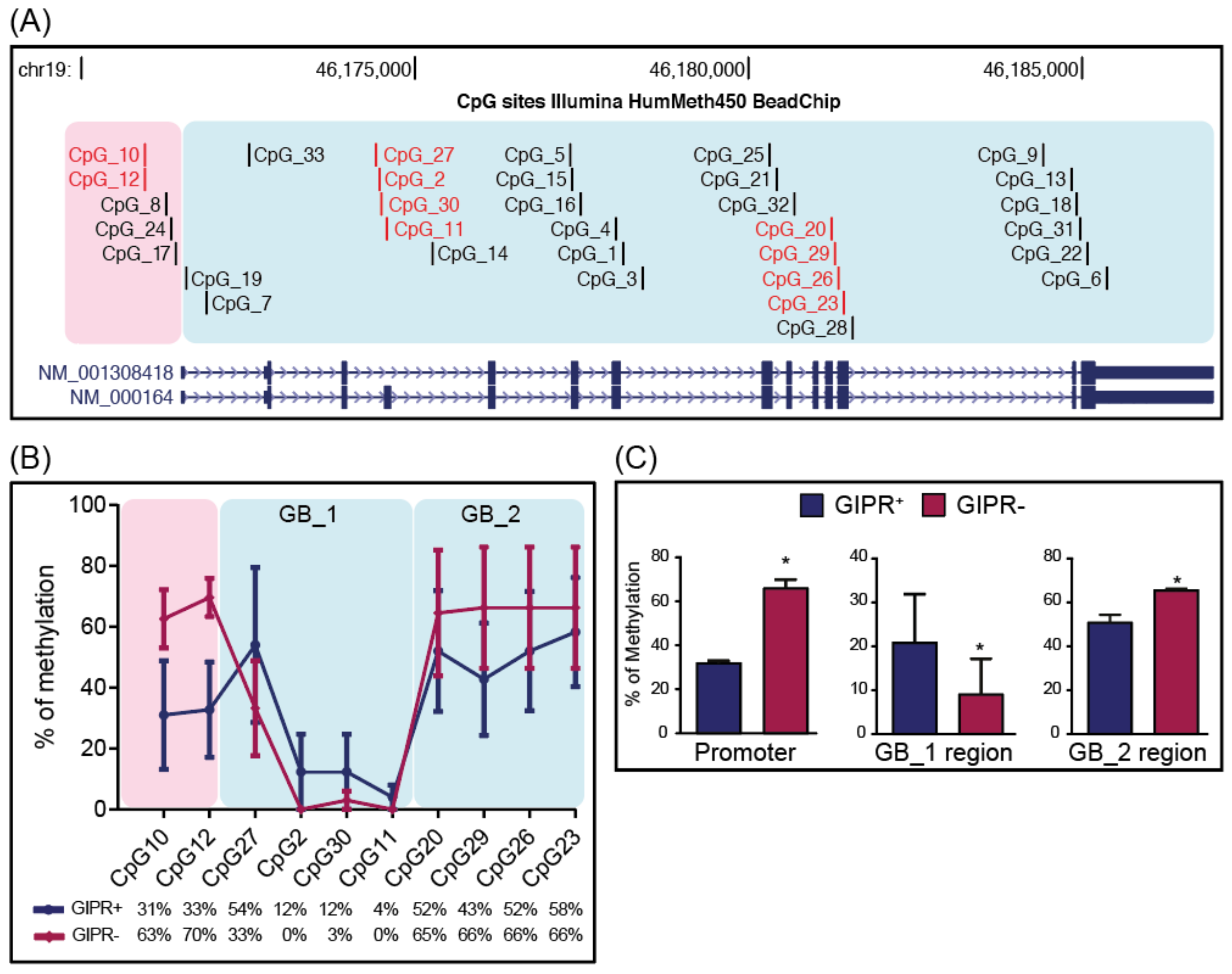 The Methylation Analysis of the Glucose-Dependent Insulinotropic Polypeptide Receptor (GIPR ...