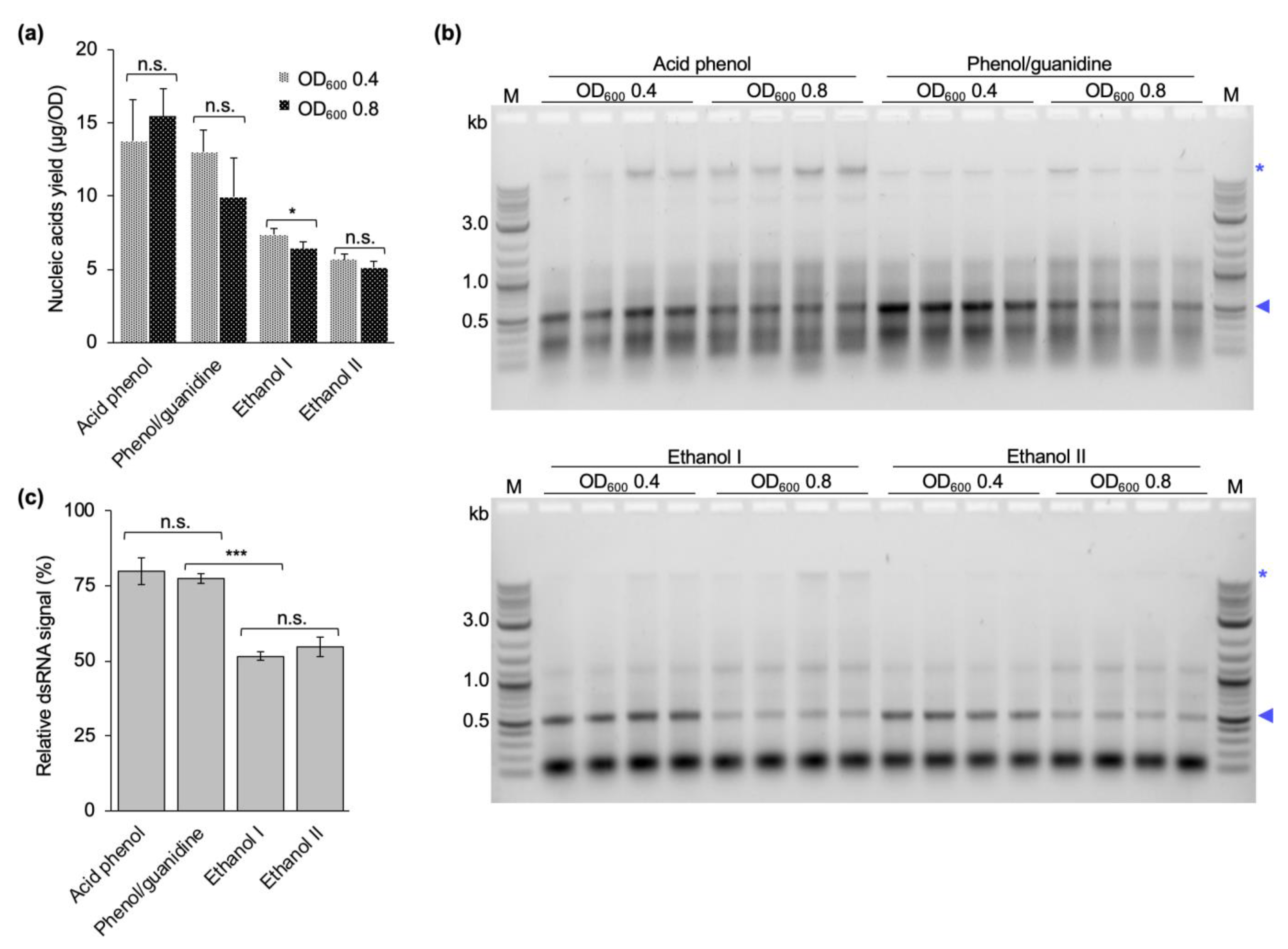 An Optimized/Scale Up-Ready Protocol for Extraction of Bacterially ...