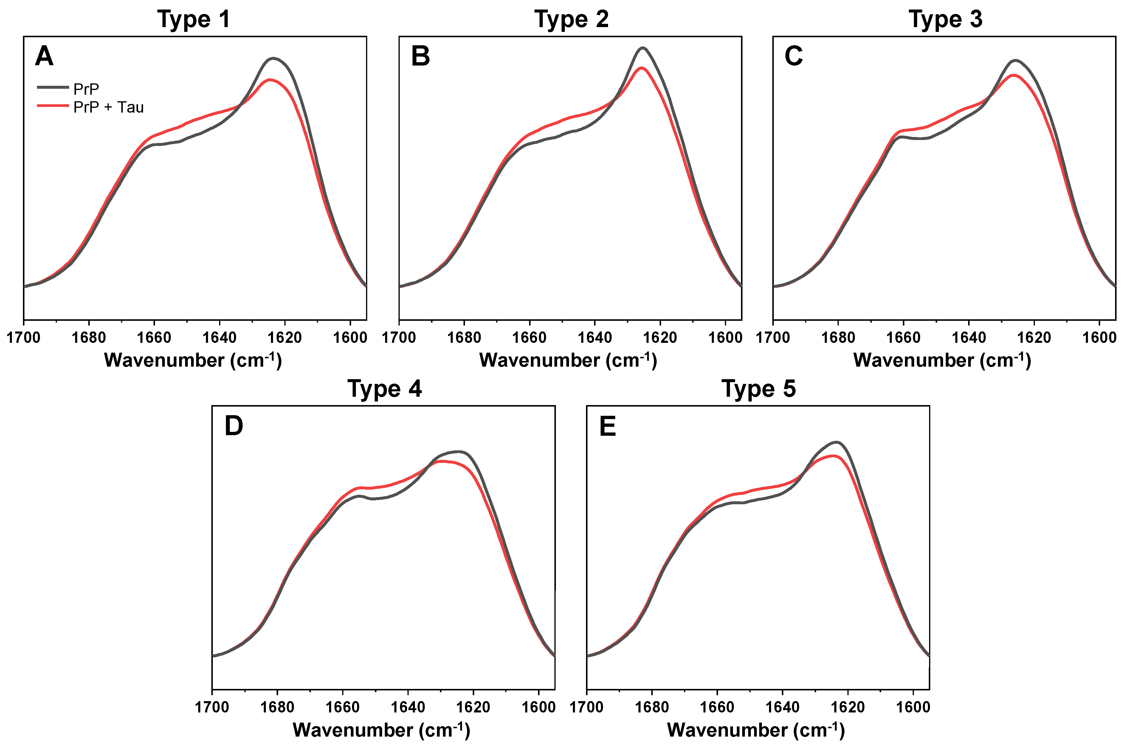 Conformation-Specific Association of Prion Protein Amyloid Aggregates ...