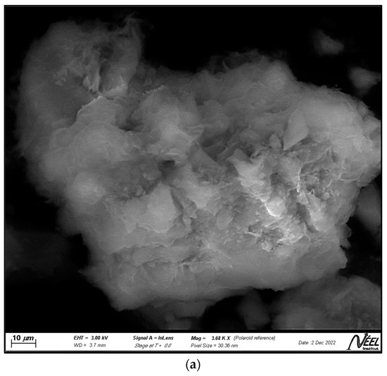 Faujasite-Type Zeolite Obtained from Ecuadorian Clay as a Support of ...
