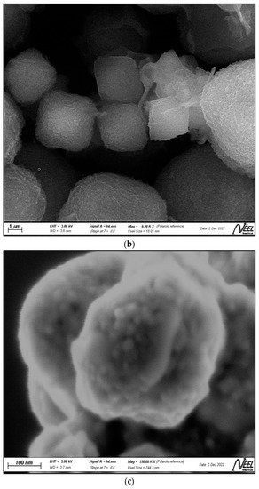 Faujasite-Type Zeolite Obtained from Ecuadorian Clay as a Support of ...
