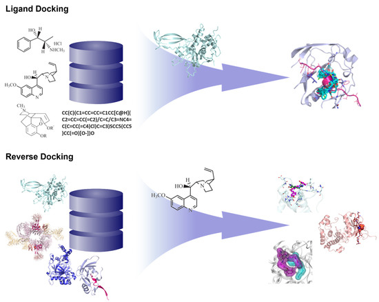 Roles of Virtual Screening and Molecular Dynamics Simulations in ...