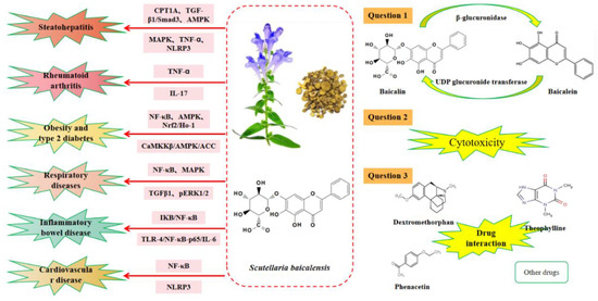 The Pharmacological Efficacy of Baicalin in Inflammatory Diseases