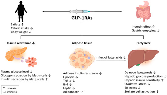 Therapeutic Mechanisms and Clinical Effects of Glucagon-like Peptide 1 ...