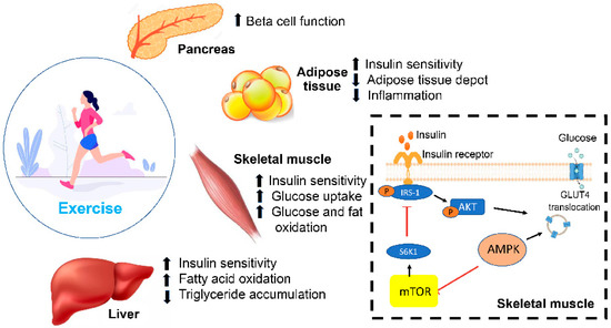 An Update on the Molecular and Cellular Basis of Pharmacotherapy in ...
