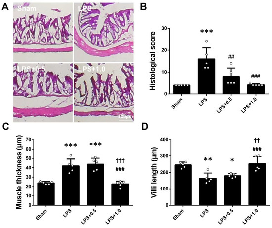 Neuroprotection by Abdominal Ultrasound in Lipopolysaccharide-Induced ...