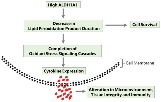 The Molecular Context of Oxidant Stress Response in Cancer Establishes ...