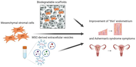 The Therapeutic Potential of Multipotent Mesenchymal Stromal Cell ...