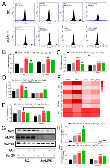 Baicalin Attenuates H2O2-Induced Oxidative Stress by Regulating the ...