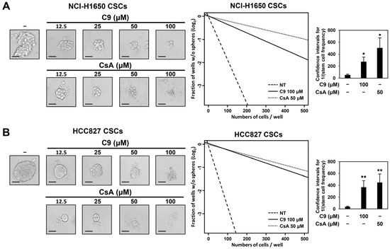 Natural Cyclophilin A Inhibitors Suppress the Growth of Cancer Stem ...