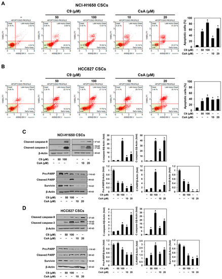 Natural Cyclophilin A Inhibitors Suppress the Growth of Cancer Stem ...
