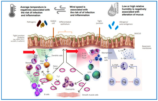 Relative Humidity and Its Impact on the Immune System and Infections