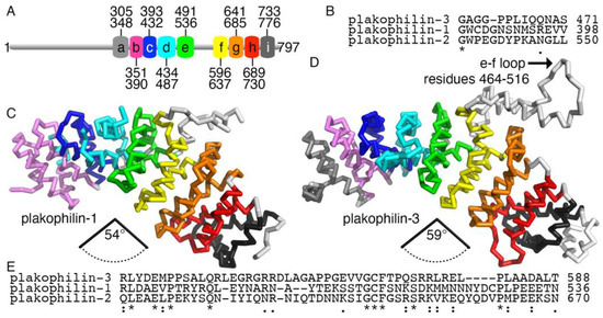 Plakophilin-3 Binds the Membrane and Filamentous Actin without Bundling ...