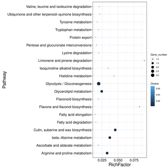 Conjunctive Analyses of BSA-Seq and BSR-Seq to Identify Candidate Genes Controlling the Black ...