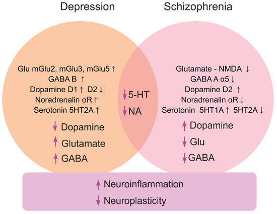 Towards Novel Potential Molecular Targets for Antidepressant and ...