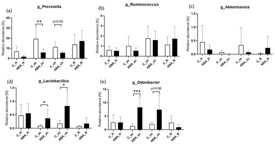 Gut Microbiota and Brain Alterations after Refeeding in a Translational ...