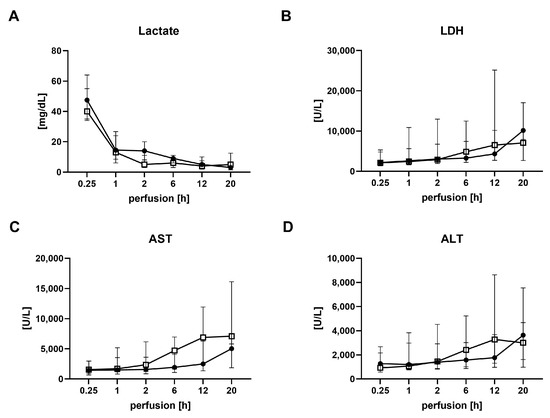 Bioenergetic and Cytokine Profiling May Help to Rescue More DCD Livers ...