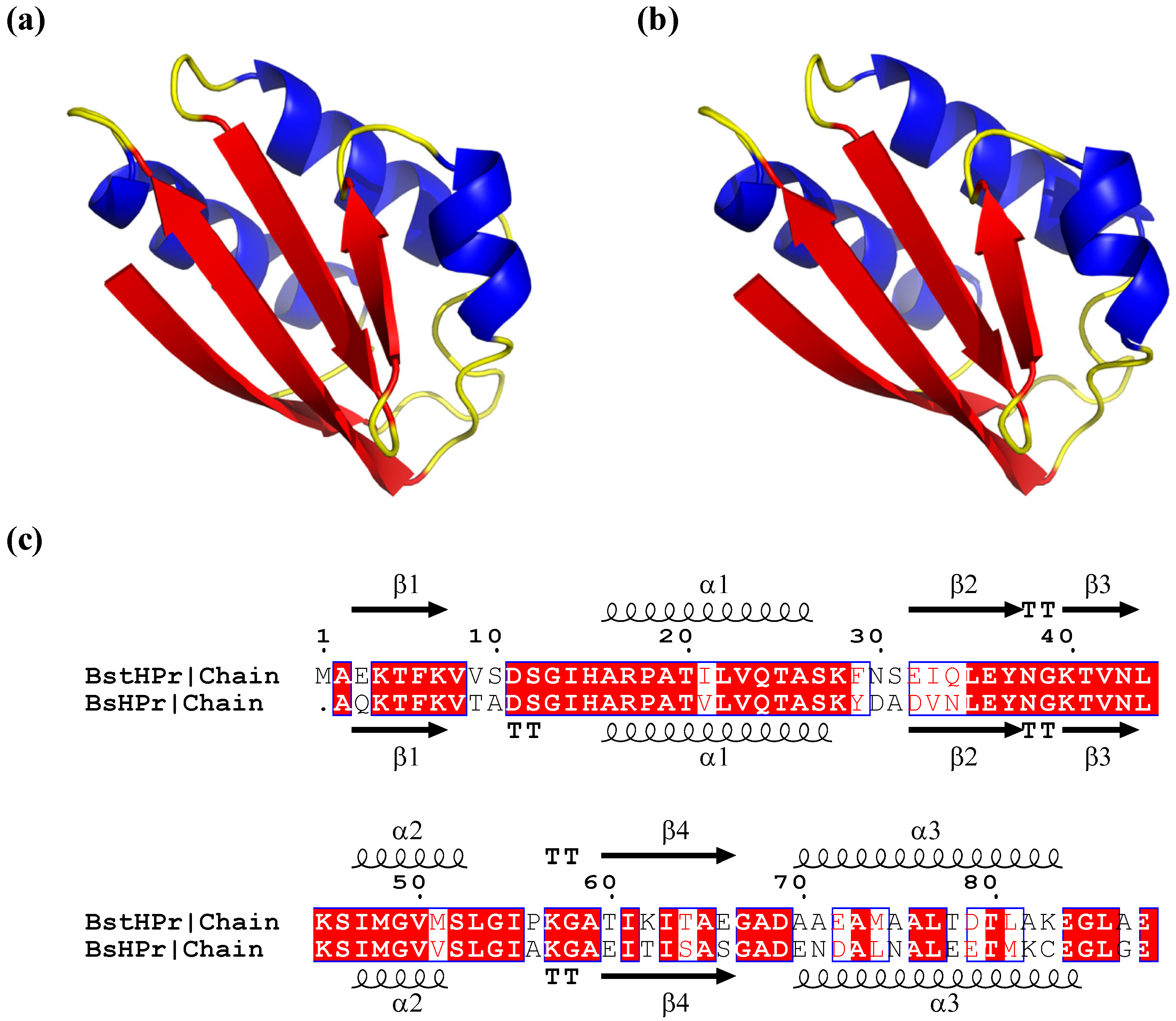 IJMS | Free Full-Text | Molecular Dynamics Simulations of HPr Proteins ...