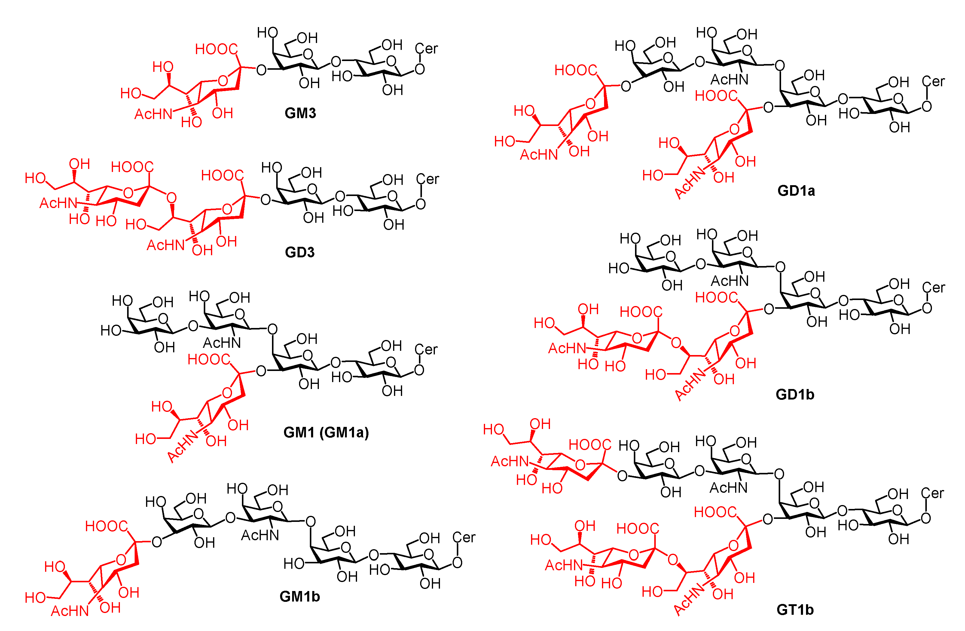 Ganglioside GM1 and the Central Nervous System