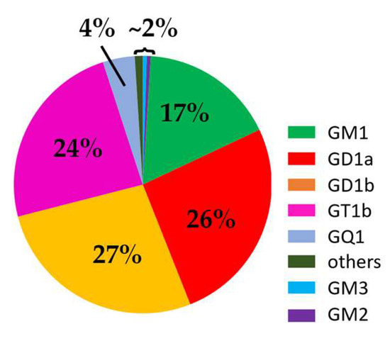 Ganglioside GM1 and the Central Nervous System