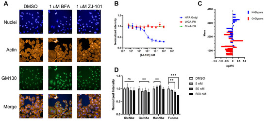 Modulation of the Endomembrane System by the Anticancer Natural Product ...