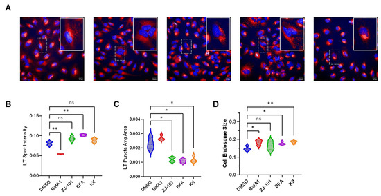 Modulation of the Endomembrane System by the Anticancer Natural Product ...