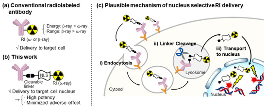 Exploring a Nuclear-Selective Radioisotope Delivery System for ...