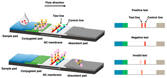 Recent Trends in Lateral Flow Immunoassays with Optical Nanoparticles