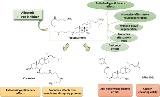 Can Allostery Be a Key Strategy for Targeting PTP1B in Drug Discovery ...