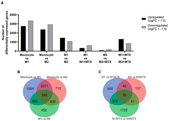 IJMS | Free Full-Text | Methotrexate Provokes Disparate Folate Metabolism Gene Expression and ...