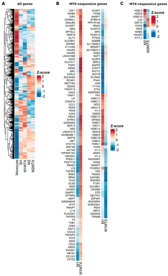 IJMS | Free Full-Text | Methotrexate Provokes Disparate Folate Metabolism Gene Expression and ...