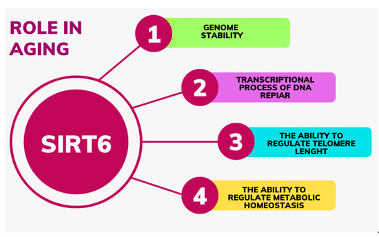 The Role of Increased Expression of Sirtuin 6 in the Prevention of ...
