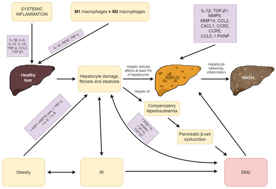 Type 2 Diabetes Mellitus, Non-Alcoholic Fatty Liver Disease, and ...