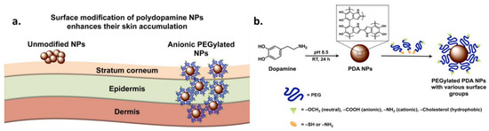 Functionalization of and through Melanin: Strategies and Bio-Applications
